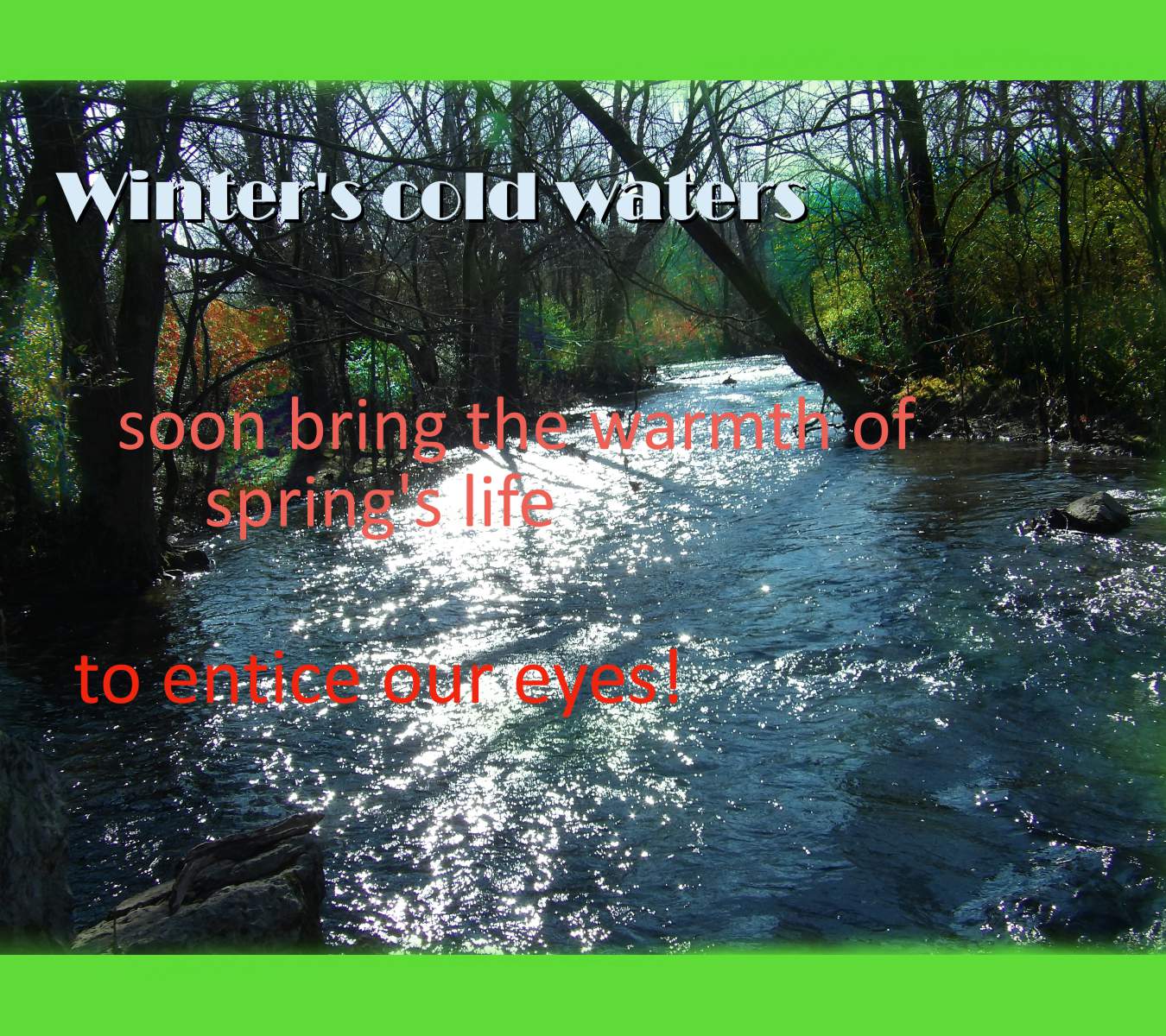 Haiku – Early Spring Haiku – SoulSails