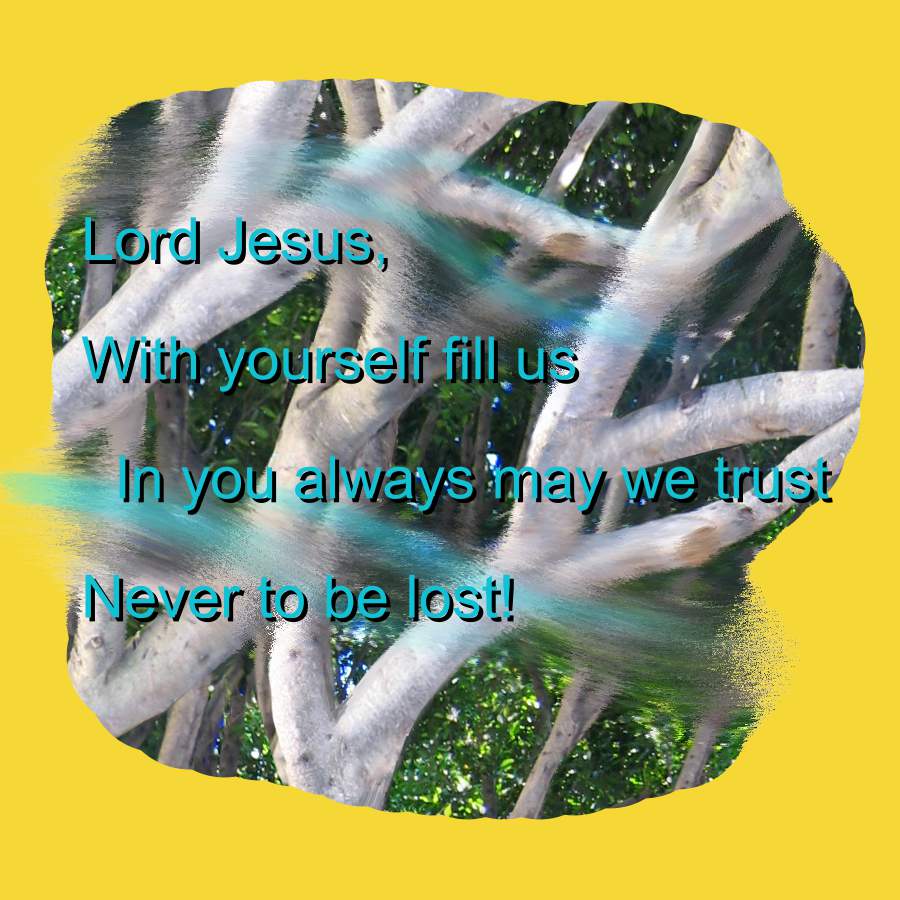 Haiku for a Windy March Day – SoulSails