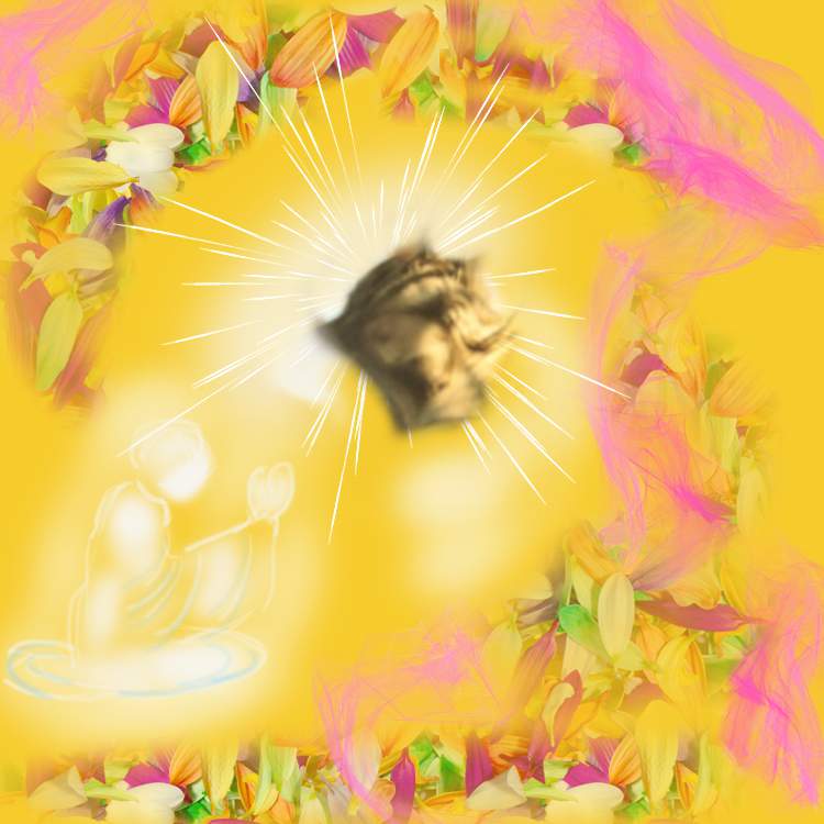 The Tear – SoulSails